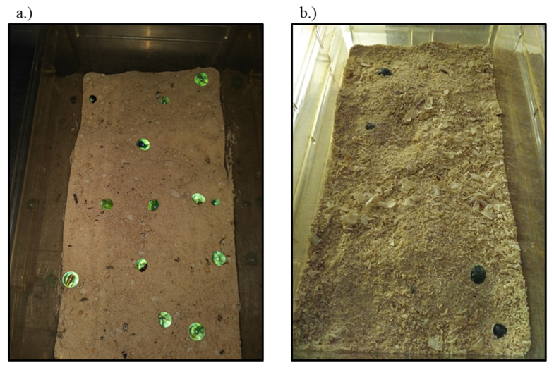 A critical inquiry into marble-burying as a preclinical screening ...