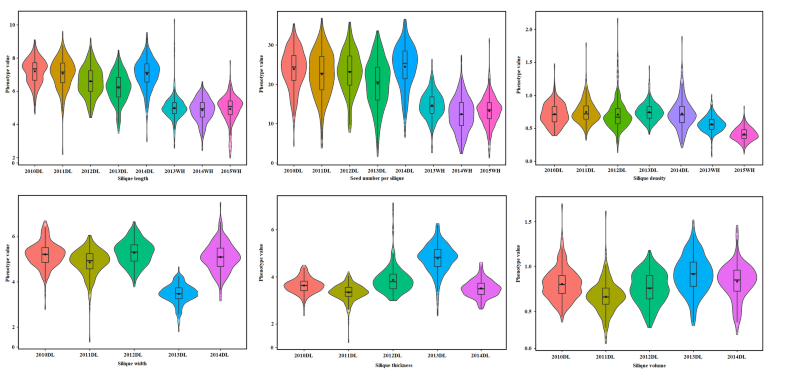 Genome-wide identification of silique-related traits based on high ...