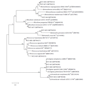 Screening cyhalothrin degradation strains from locust epiphytic ...