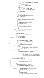 Screening cyhalothrin degradation strains from locust epiphytic ...