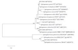 Screening cyhalothrin degradation strains from locust epiphytic ...