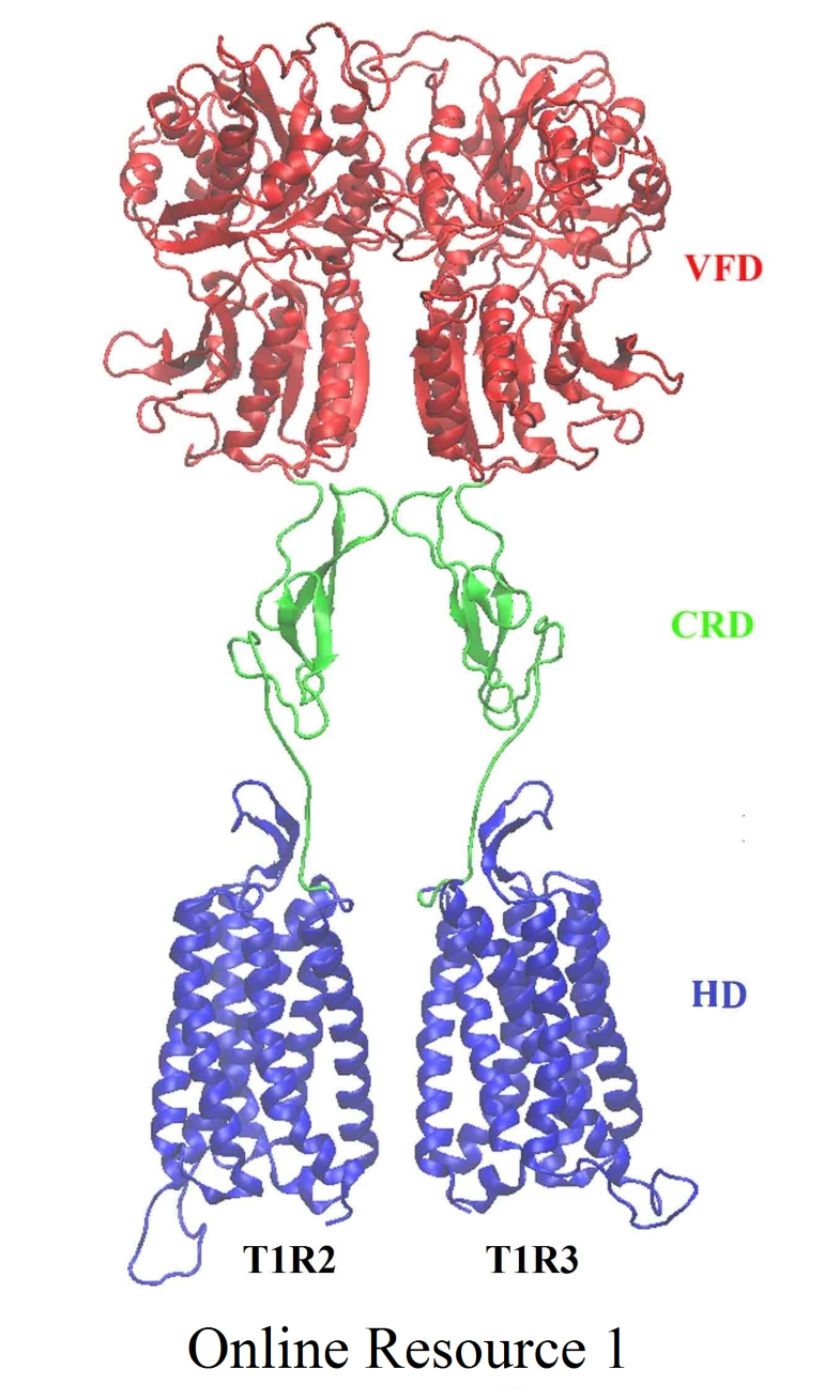 The Heptahelical Domain of the Sweet Taste Receptor T1R2 Is a New ...