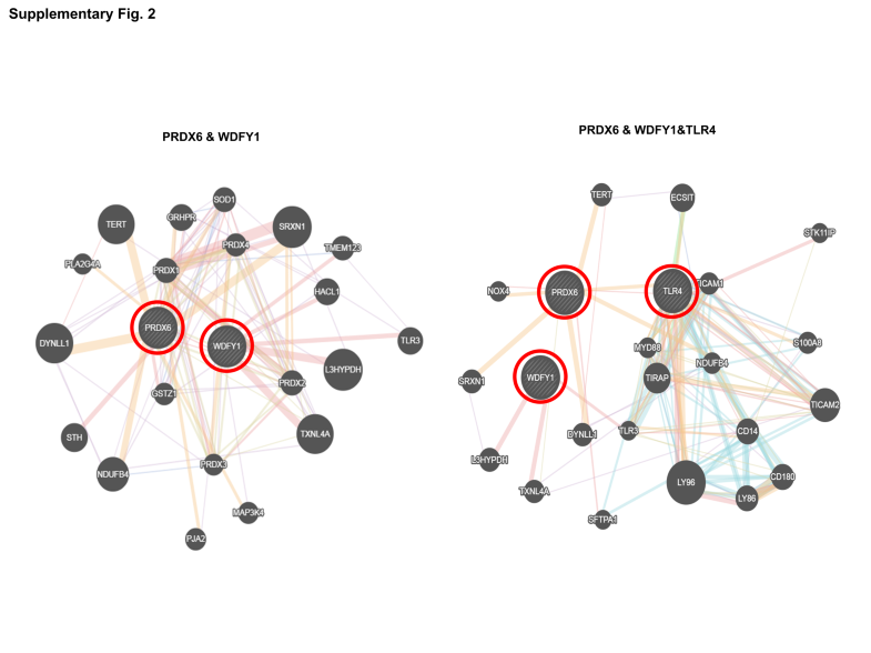 PRDX6 Inhibits Neurogenesis through Downregulation of WDFY1-Mediated ...