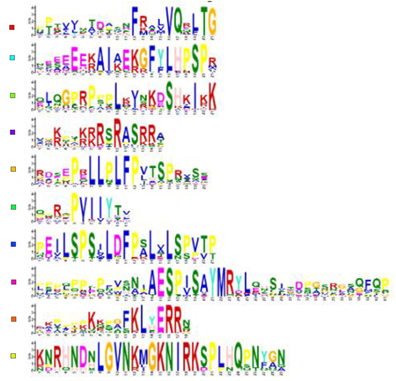 Genome-Wide Classification and Evolutionary and Functional Analyses of ...