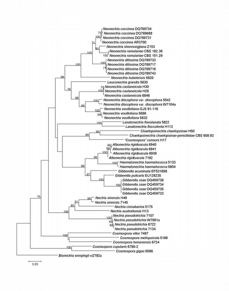 Practice towards DNA barcoding of the nectriaceous fungi | SpringerLink