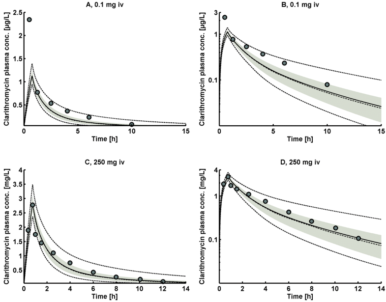 Clarithromycin, Midazolam, and Digoxin: Application of PBPK Modeling to ...