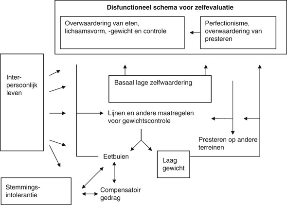 Voldoet Fairburns Enhanced cognitive behavioral therapy voor ...