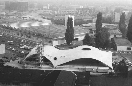 Rooted in Nature: Aesthetics, Geometry and Structure in the Shells of ...