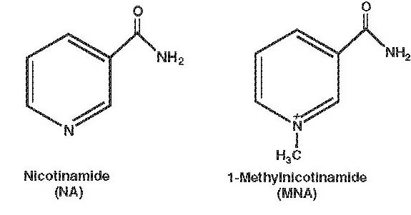 1-Methylnicotinamide and nicotinamide: two related anti-inflammatory ...