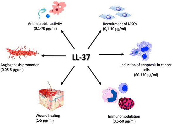 The Role of Cathelicidin LL-37 in Cancer Development | SpringerLink