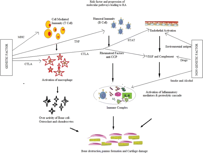 Understanding the major risk factors in the beginning and the ...