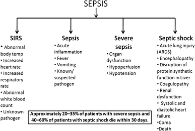 Sepsis: in search of cure | SpringerLink