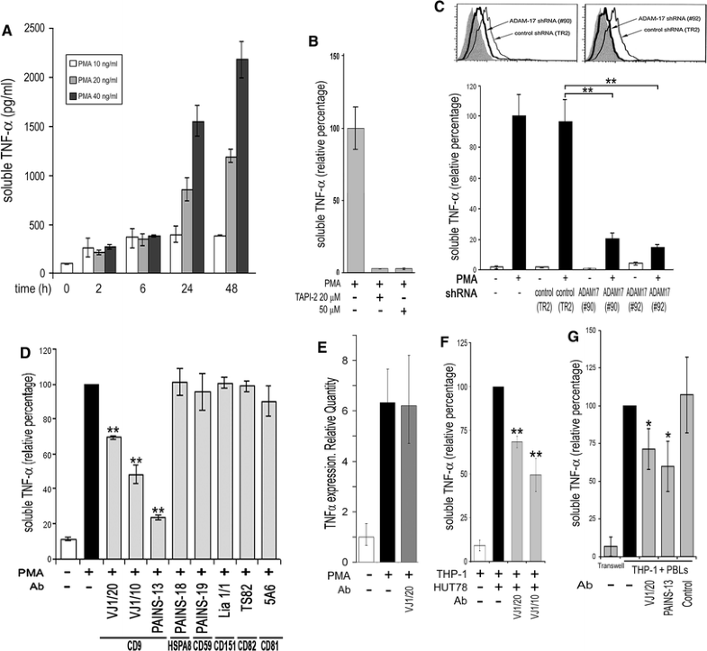 The sheddase activity of ADAM17/TACE is regulated by the tetraspanin ...