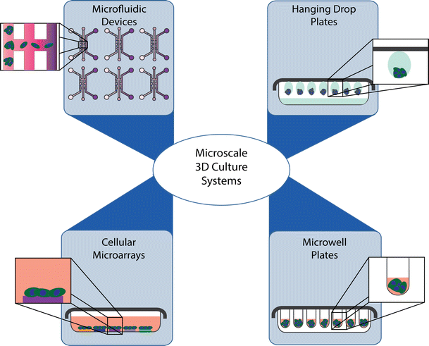 Microscale screening systems for 3D cellular microenvironments ...