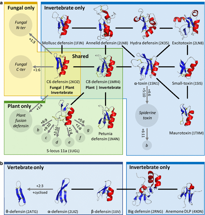 Convergent evolution of defensin sequence, structure and function ...