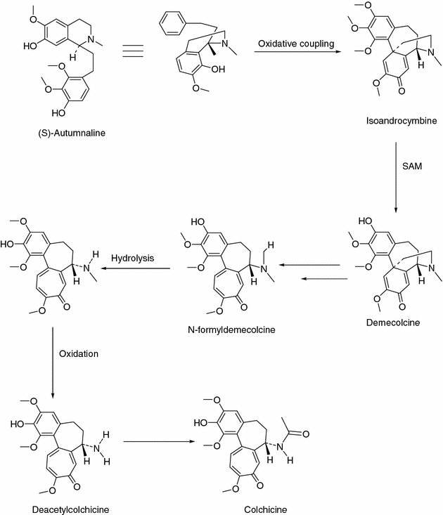 Colchicine and its various physicochemical and biological aspects ...