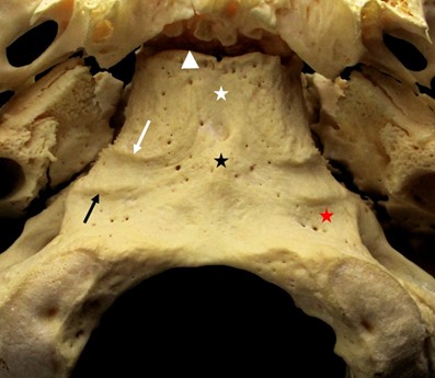 The Clivus | SpringerLink