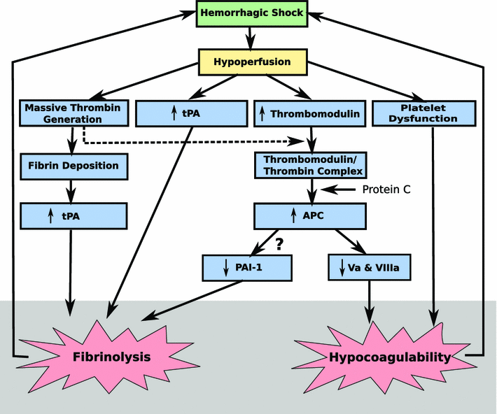 Viscoelastic hemostatic fibrinogen assays detect fibrinolysis early | SpringerLink