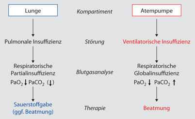 Außerklinische Beatmung | SpringerLink