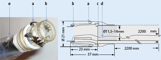 Full-Thickness-Resection-Device (FTRD) | SpringerLink