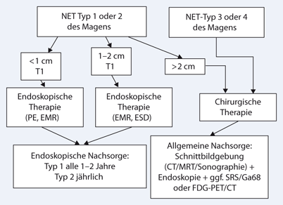 Endoskopische Therapie gastroduodenaler neuroendokriner Neoplasien | SpringerLink