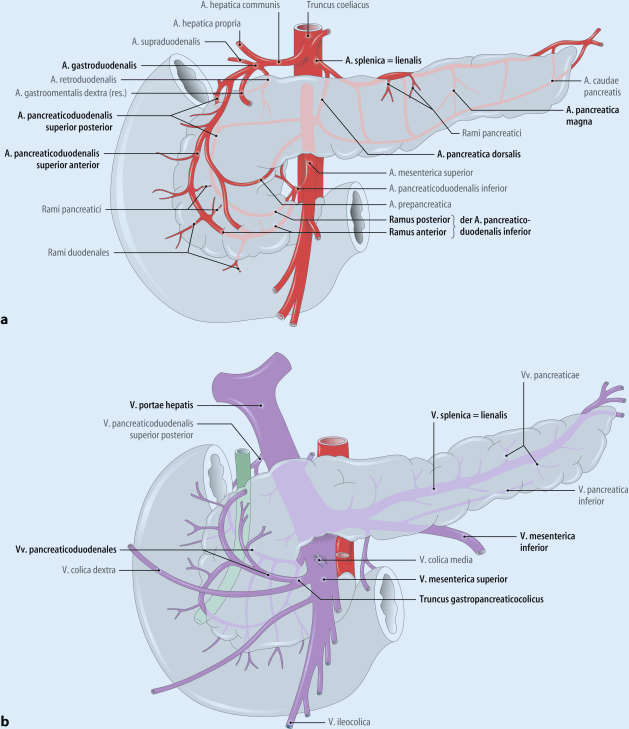 Pyloruserhaltende Pankreaskopfresektion | SpringerLink