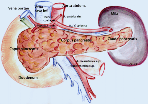 Vorgehen bei Leber‑, Milz‑ und Pankreasverletzungen inklusive „damage ...