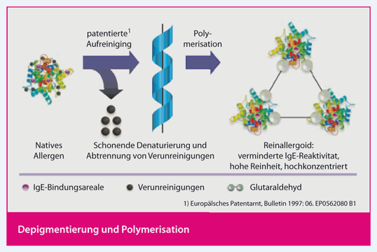Depigmentierte Allergoide für die allergenspezifische Immuntherapie ...
