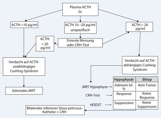 Glukokortikoide und Hypertonie | SpringerLink