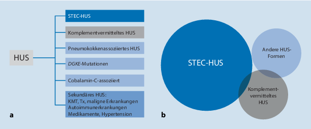 Hämolytisch-urämisches Syndrom im Kindes- und Jugendalter | SpringerLink