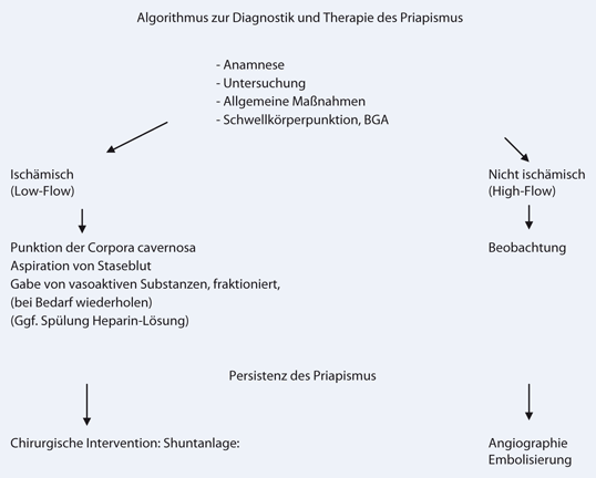 Priapismus | SpringerLink