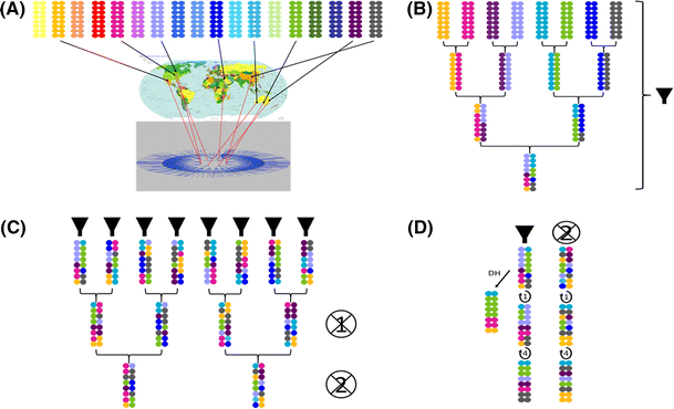 MAGIC populations in crops: current status and future prospects ...