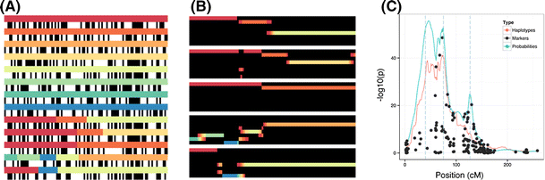 MAGIC populations in crops: current status and future prospects ...