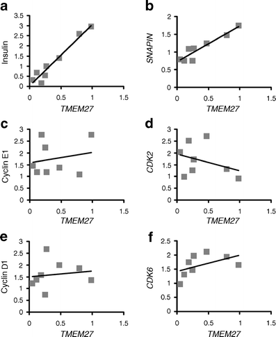 The role of transmembrane protein 27 (TMEM27) in islet physiology and ...