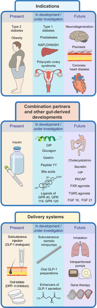 Incretin-based therapies: where will we be 50 years from now ...