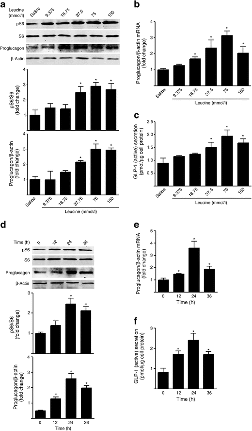 Intestinal mTOR regulates GLP-1 production in mouse L cells | SpringerLink