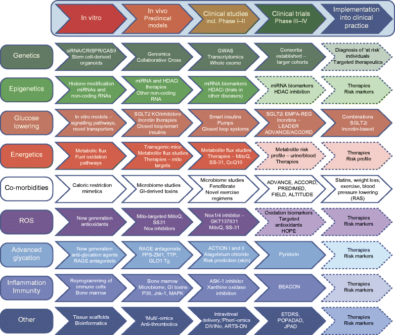 Vascular complications in diabetes: old messages, new thoughts ...