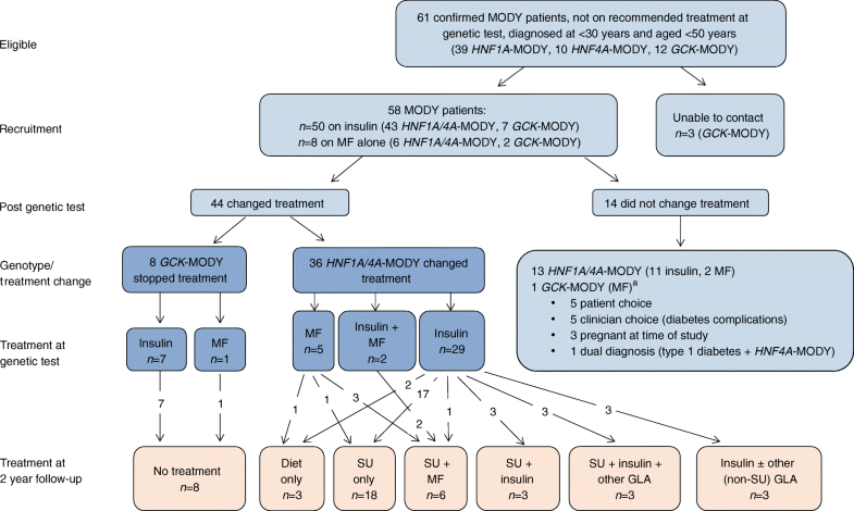 A UK nationwide prospective study of treatment change in MODY: genetic ...