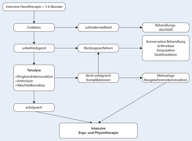 Tenolyse der Beugesehnen an der Hand | SpringerLink