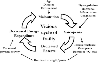 Scratching the surface: the burden of frailty in critical care ...