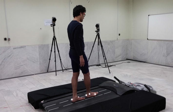 Effects of narrow-base walking and dual tasking on gait spatiotemporal ...