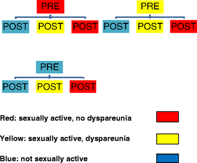 An International Urogynecological Association (IUGA)/International ...