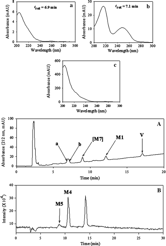 In vitro metabolism of the anti-androgenic fungicide vinclozolin by rat ...