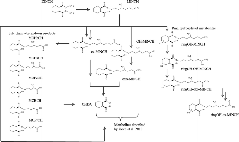 Additional oxidized and alkyl chain breakdown metabolites of the ...