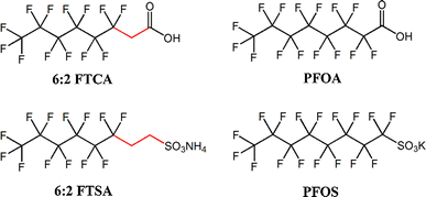 Comparative hepatotoxicity of 6:2 fluorotelomer carboxylic acid and 6:2 ...