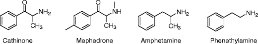 Mephedrone (4-methylmethcathinone; ‘meow meow’): chemical ...