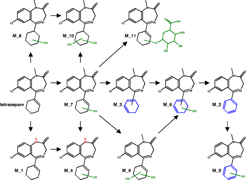 Unraveling the metabolic transformation of tetrazepam to diazepam with ...