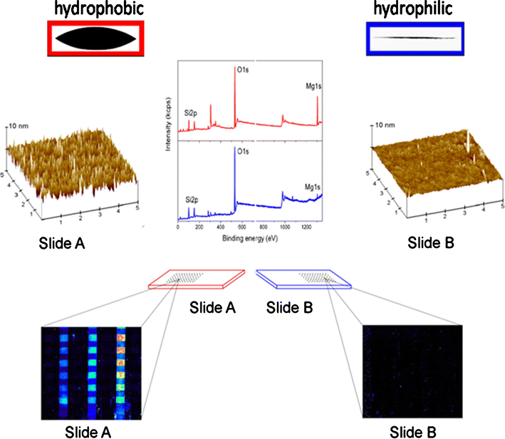 Critical aspects of biointerface design and their impact on biosensor ...