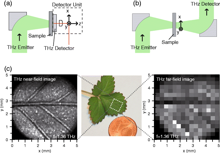 Chemical sensing and imaging with pulsed terahertz radiation | SpringerLink