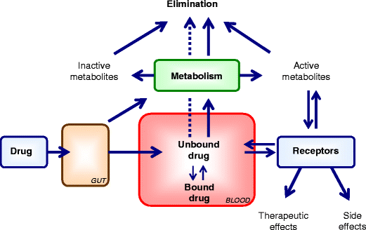 Drug–protein binding: a critical review of analytical tools | SpringerLink